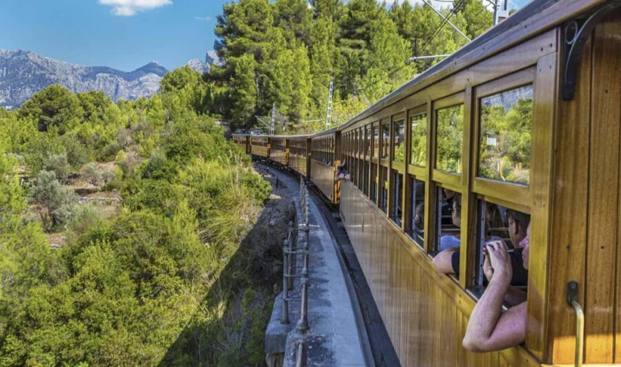 Mallorca Island Tour with Boat, Train, Tram and Bus - Who Is This Tour Perfect For?