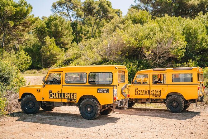 Mallorca: Kayaking, Sea Cave, Cliff Jumping & Snorkel Tour - Pricing and Value