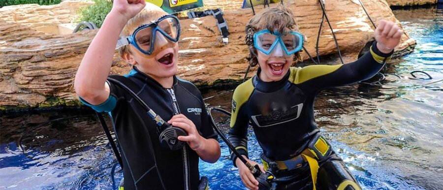 Mallorca: Palma Aquarium Entry Ticket w/ Optional 3D Cinema - What to Expect When Visiting Palma Aquarium