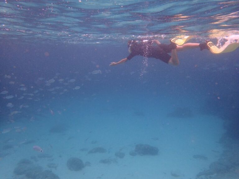 Mallorca: Snorkeling in a Beautiful Nature Reserve - The Value for Money