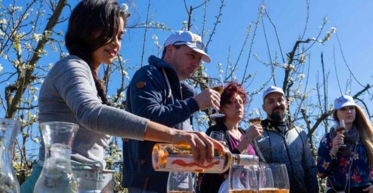 Mallorcas Emblematic Wineries Small Group Tour, two wineries - An In-Depth Look at the Itinerary