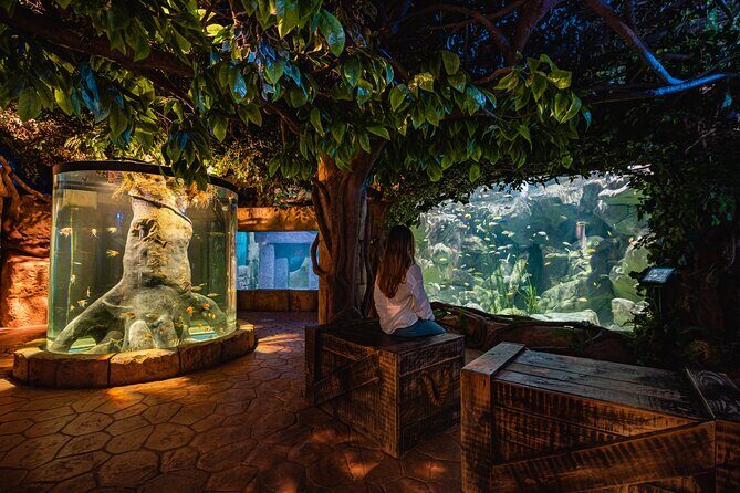 Malta National Aquarium Entrance Ticket - Practical Tips for Visiting