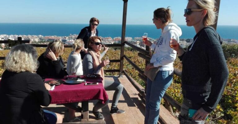 Manilva: Nilva Vineyard, Wine Tasting & Tapas Guided Tour - Why You Should Do This Tour