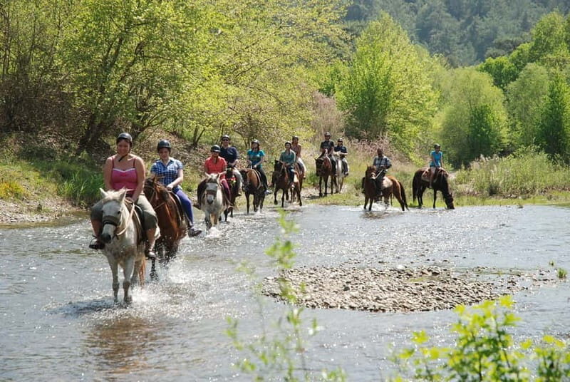 Marmaris: Horse Riding & Safari with Hotel Transfer - The Logistics: How It All Comes Together