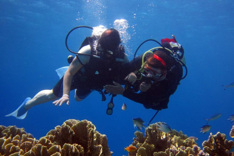 Marmaris: Scuba Diving Experience with 2 Dives and Lunch - What to Expect from the Marmaris Scuba Experience