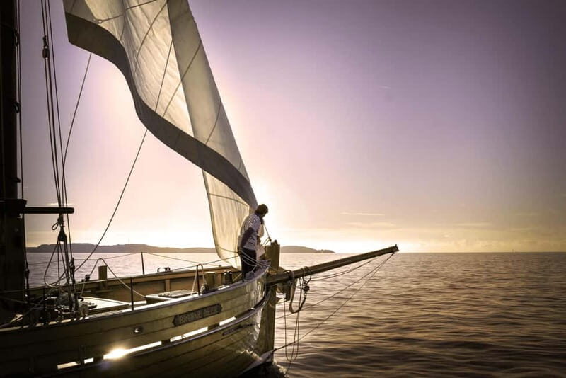 Marseille: Evening sailboat trip to the Calanques du Frioul with buffet and organic wine - Value and Practical Details