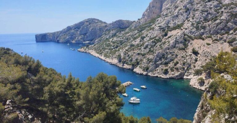 Marseille: Guided Hiking Calanques National Park from Luminy - Why It’s a Great Value