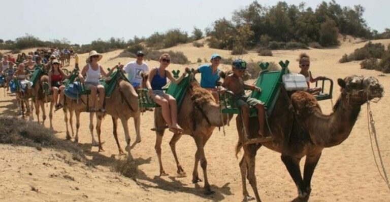 Maspalomas: Guided Camel Ride in the Maspalomas Sand Dunes - Why You Should Consider This Experience