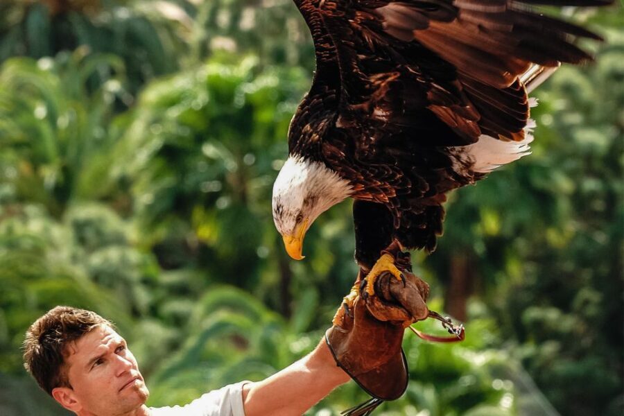 Maspalomas: Palmitos Park Ticket with Dolphin and Bird Shows - An In-Depth Look at Palmitos Park