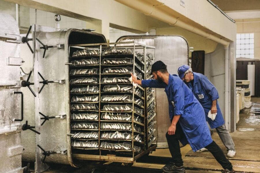 Matosinhos: Conservas Pinhais Factory Tour - Authenticity and Value