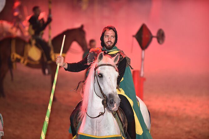 Medieval San Miguel castle with dinner-Show in South Tenerife - Who Should Consider This Tour?