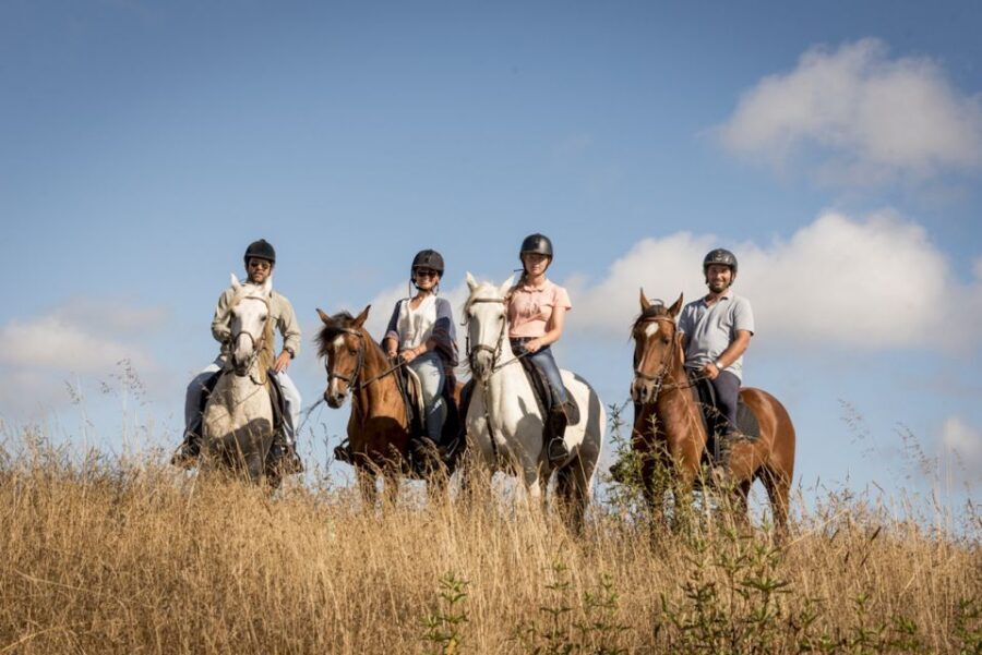 Melides: Horse Riding on the Beach with Wine Tasting - The Experience — What to Expect
