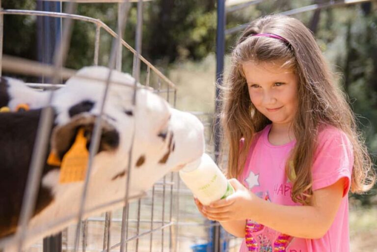 Menorca: Guided visit to the Subaida cheese factory, - Authentic Insights from Reviews