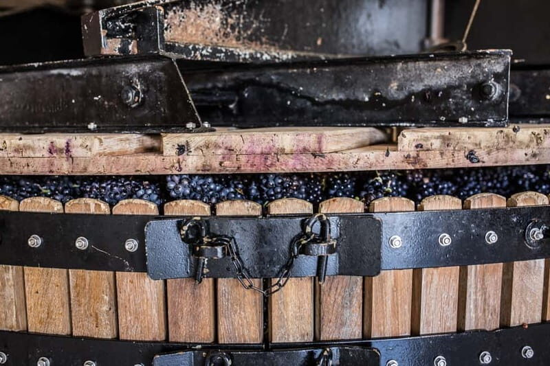 Meunier Champagne Experience tour - Passy-Grigny - Exploring the Details: What to Expect on the Tour