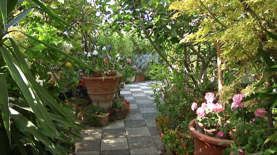 Milan: Pasta, Ravioli, and Gelato Class in a Glamorous Home - A Detailed Look at the Milan Pasta and Gelato Experience