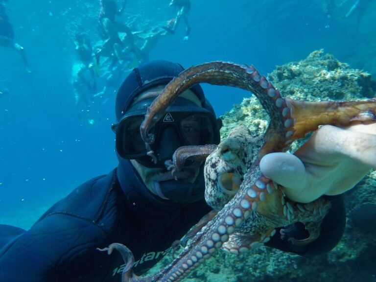 Milos: Half-Day Speedboat Cruise to Klefiko with Snorkeling - In-Depth Look at the Experience