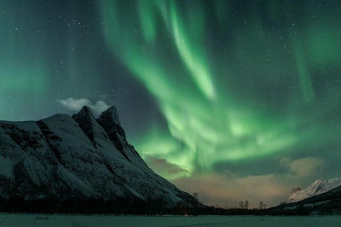 Minibus Northern Lights Chase with Photography from Tromsø - Practical Details & FAQs