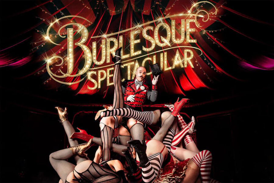 Mirage Vienna: Burlesque Spectacular  Dinner Show - Who Is This Tour Perfect For?