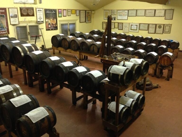 Modena: Balsamic Vinegar Cellar Tour, Tasting & Food Pairing - Why Choose This Tour?
