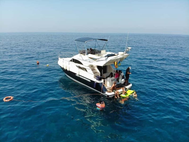 Mogan: Dolphin Watching Boat Trip with Swim Stop - Practicalities & What to Know Before You Book