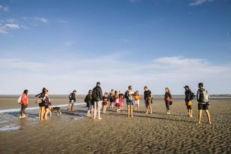Mont-saint-Michel : Walk in the heart of the Bay - A Closer Look at the Itinerary
