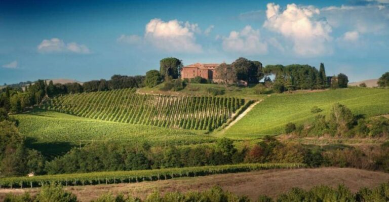 Montalcino: Brunello Wine Tasting Experience - Why Choose This Tour?