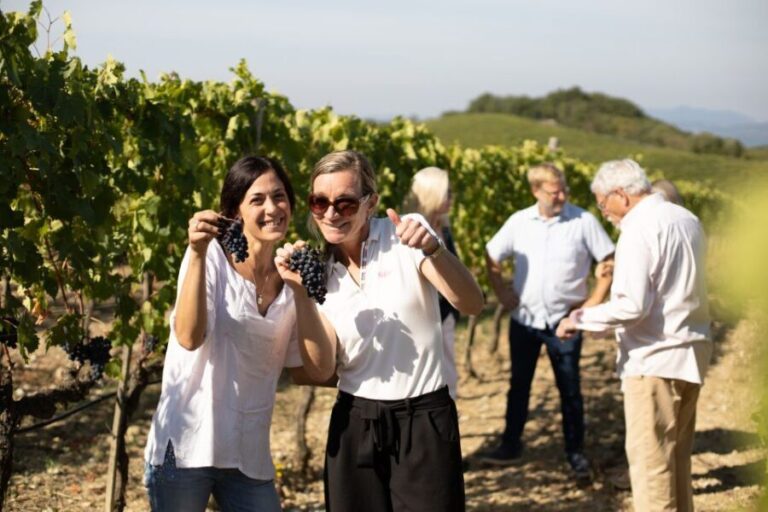 Montalcino: Guided Winery Tour and Wine Tasting - Review Highlights from Visitors