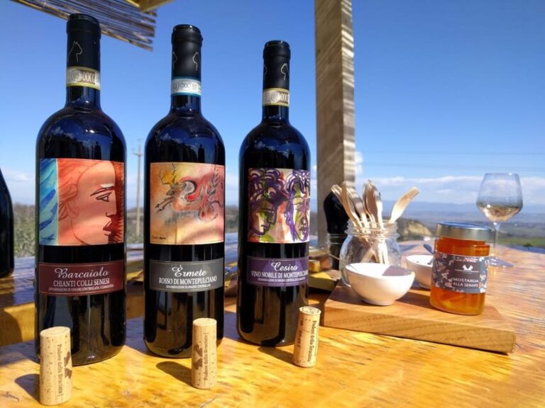Montepulciano: Artisan Heroic Wine Tasting at the Terrace - What to Expect from the Tour