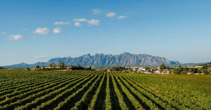 Montserrat & Cava Wineries Day Trip from Barcelona w/ Pickup - The Journey to the Cava Wineries in Penedès