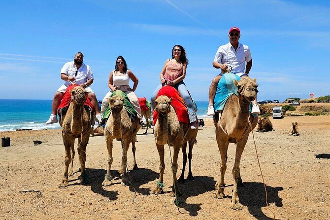 Morocco: Tangier Private Tour from Malaga & Tarifa, All Inclusive - The Value in the Experience