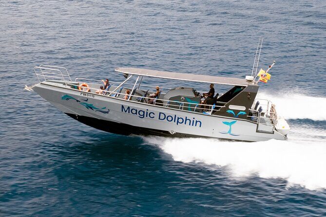 Morro Jable: 2 Hours Magic Dolphin & Whale watching with Drinks & Swim Stop. - Authentic Experiences from Travelers