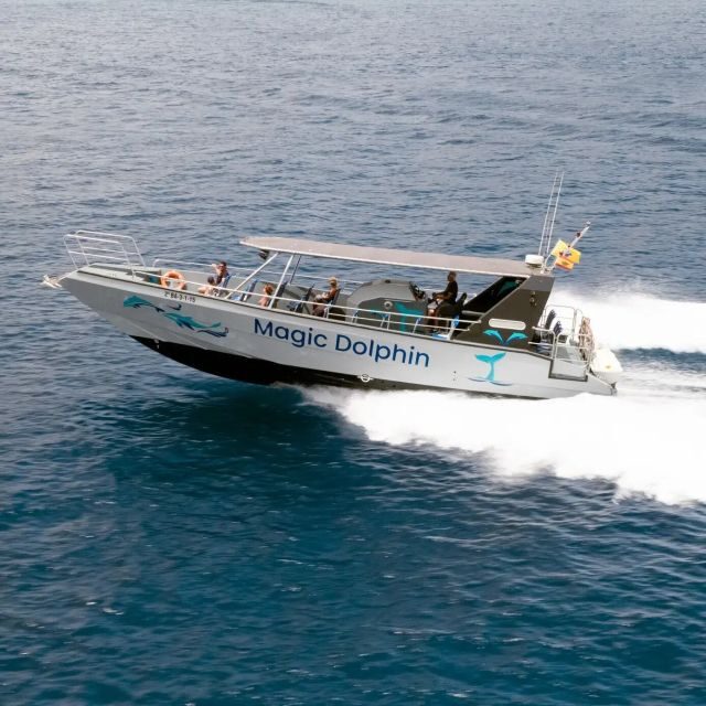 Morro Jable: Dolphin & Whale Watching Cruise, Drinks & Swim - The Experience: What Sets It Apart