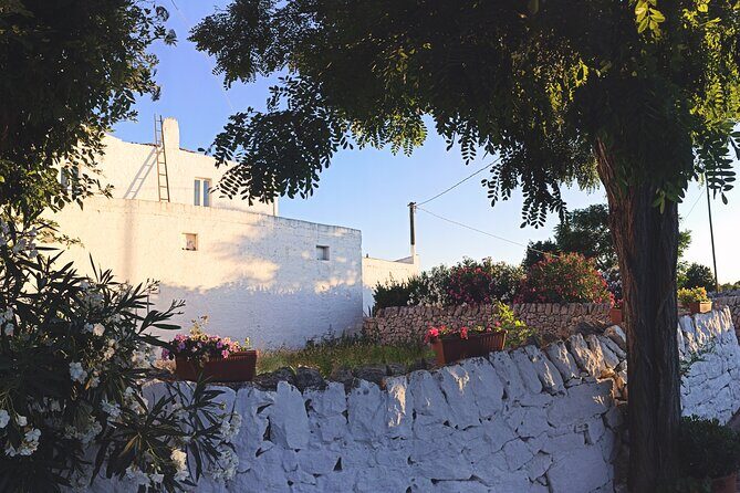 Mozzarella Experience - Cheese Tour and tastings to Masseria Fragnite - The Sum Up: Who Should Consider This Tour?