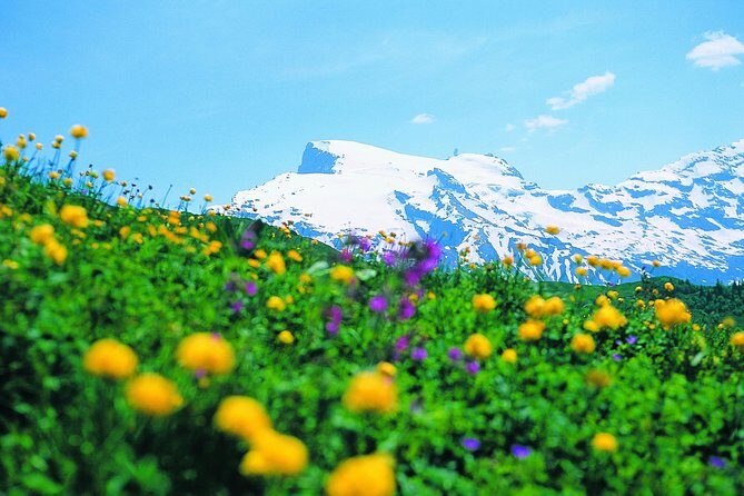 Mt Titlis Glacier Paradise Tour from Zurich With Lucerne - Practical Tips for Your Trip