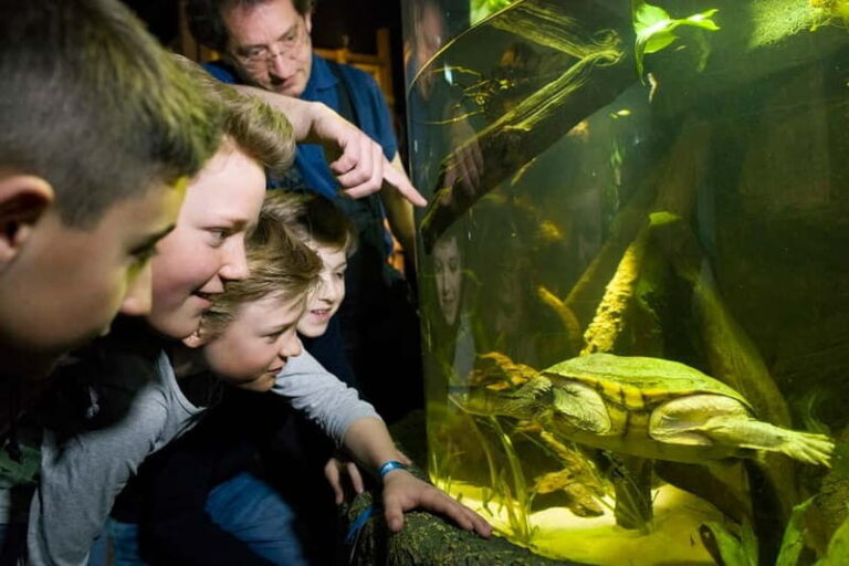 Munich: Day Ticket to Sea Life - Authentic Visitor Insights