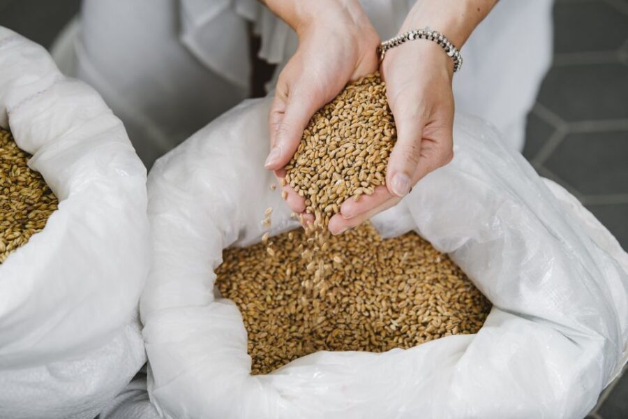 Munich: Hands-On Brewery Tour & Tasting of 4 Organic Beers - Beer Tasting and Regional Snacks