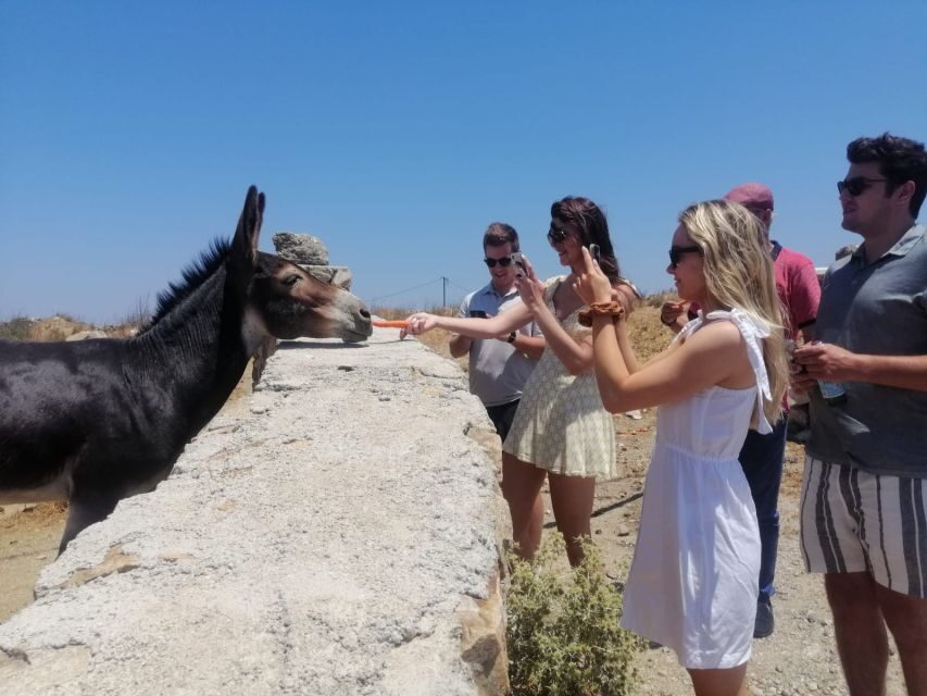 Mykonos: Highlights Tour with Panagia Tourliani Monastery - Exploring the Sights & Taste of Local Life