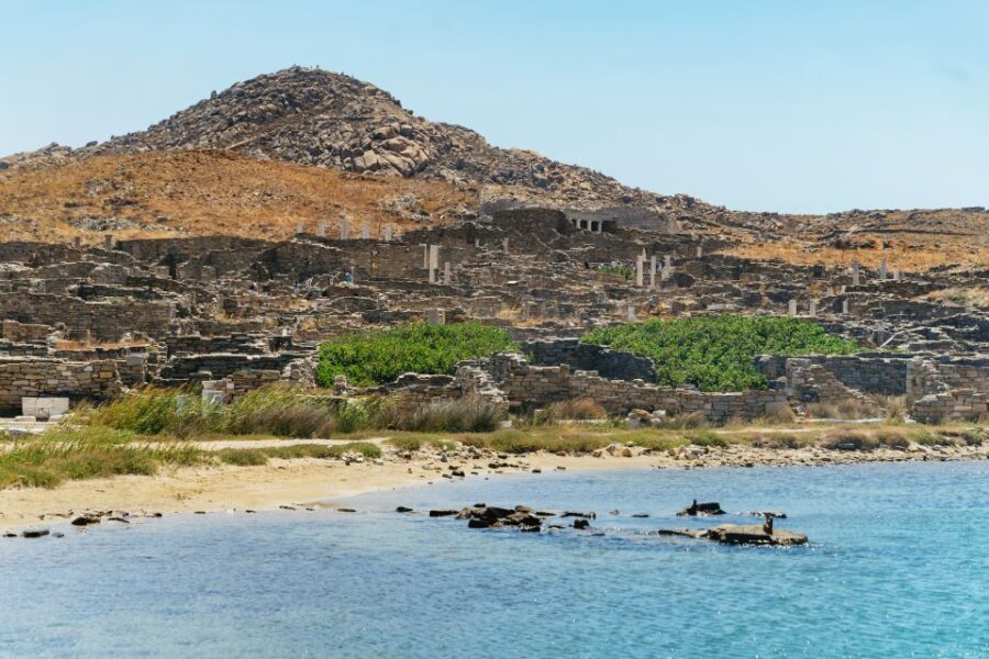 Mykonos Town: Archaeological Site of Delos Guided Day Trip - Detailed Breakdown of the Itinerary