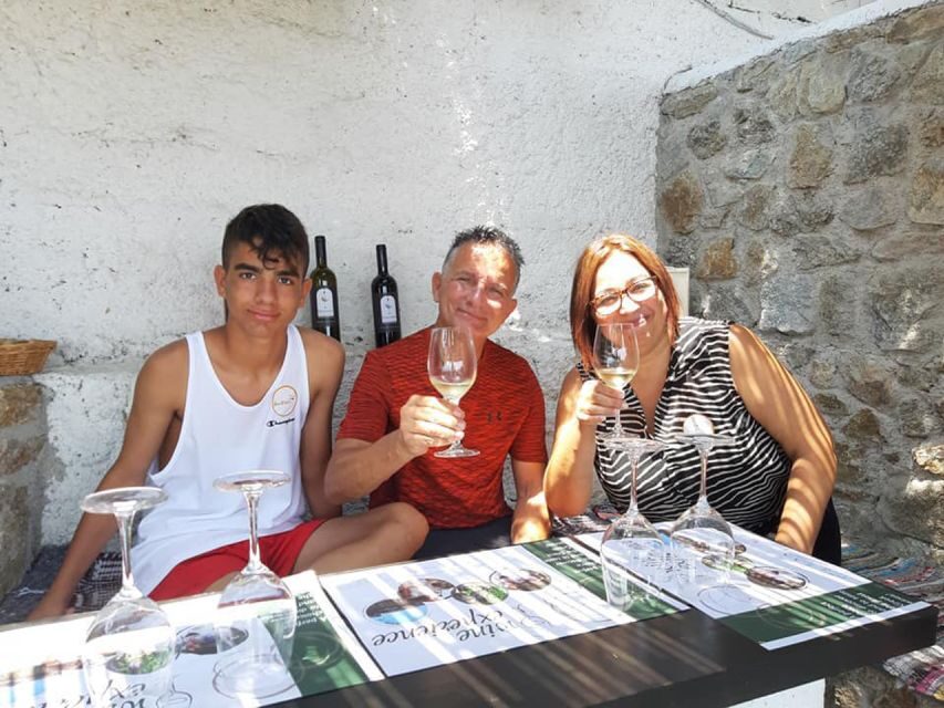 Mykonos: Wine Tasting at a Mykonian Farm - An In-Depth Look at the Mykonos Wine Tasting Experience