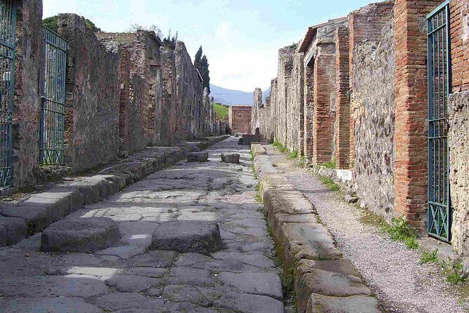 Naples Shore Excursion: Pompeii Half Day Trip from Naples - What to Expect from This Pompeii Tour