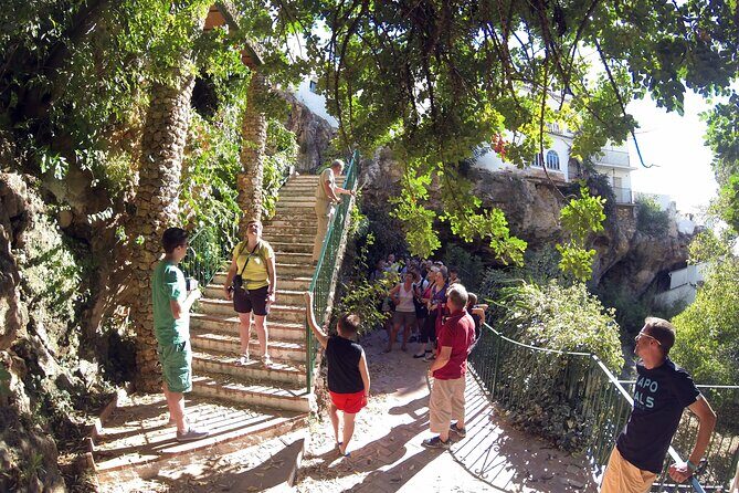 Natural Parck Jeep Eco Tour from Costa del Sol - Authentic Experiences and Highlights