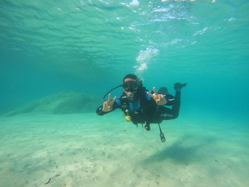 Naxos: Discover Scuba Diving on Agios Georgios Beach - What You Can Expect from the Tour