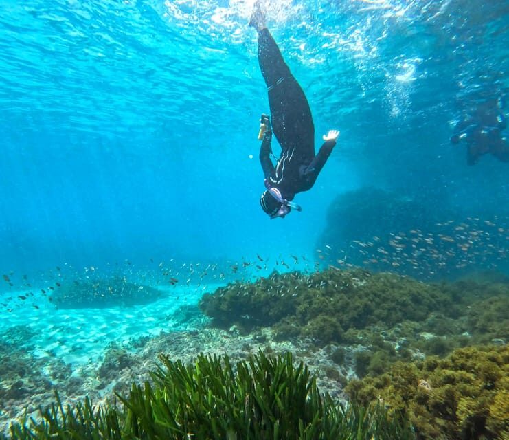 Nerja-Maro: Snorkeling & Sea Scooter Speedboat Trip - The Experience for Different Travelers