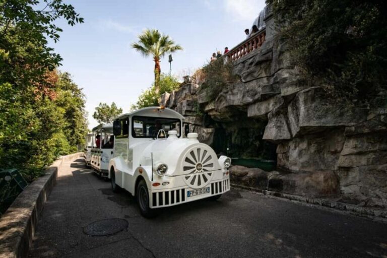 Nice: A gentle ride on a small electric train with panoramic views - Who Will Enjoy This Tour?