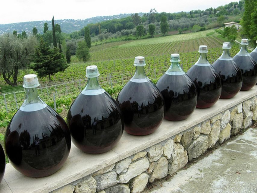 Nice: Half-Day Saint Paul de Vence and Wine Tasting Tour - Final Thoughts: Who Is This Tour For?