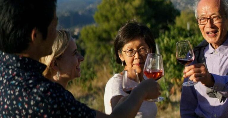 Nice: Vineyard Tour with Wine Tasting - Transport and Accessibility