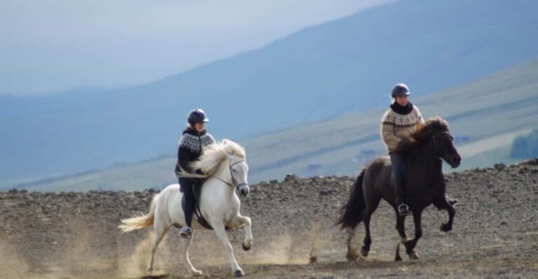 North Iceland: Horseback Riding Tour - Frequently Asked Questions