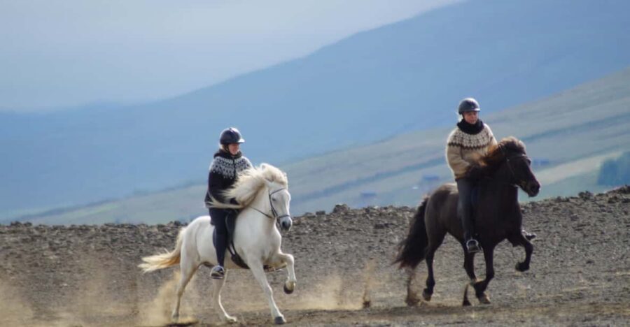 North Iceland: Horseback Riding Tour - Frequently Asked Questions