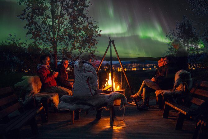 Northern Lights Husky Visit - The Pros and Cons