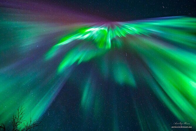 Northern Lights Tour, Photo, Toilet, Meal, Skycam in Mbus - Who Should Book This Tour?